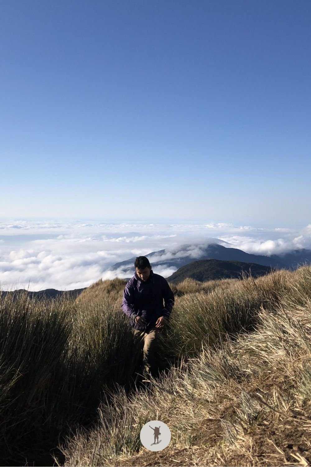 Mount Pulag Sea of Clouds: My Surreal Experience and Tips