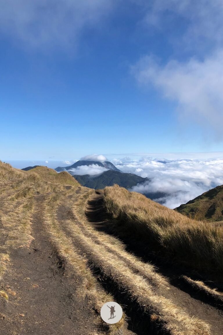 Mount Pulag Sea of Clouds: My Surreal Experience and Tips